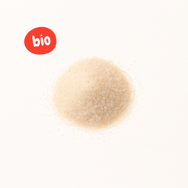 Biologische ruwe rietsuiker (500g), geschikt voor kefir en kombucha ...